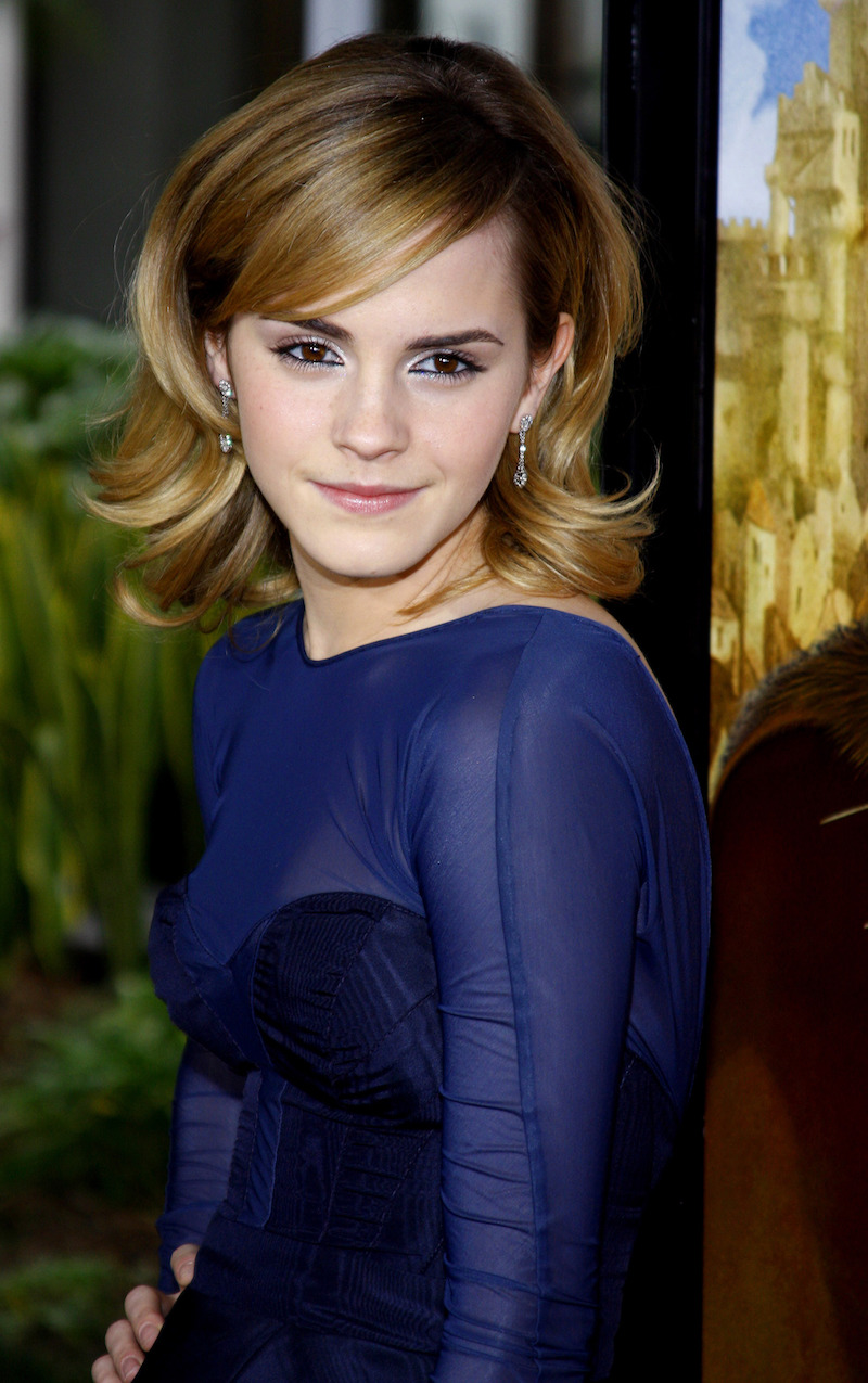 Emma Watson Said Paparazzi Took Photos Up Her Dress