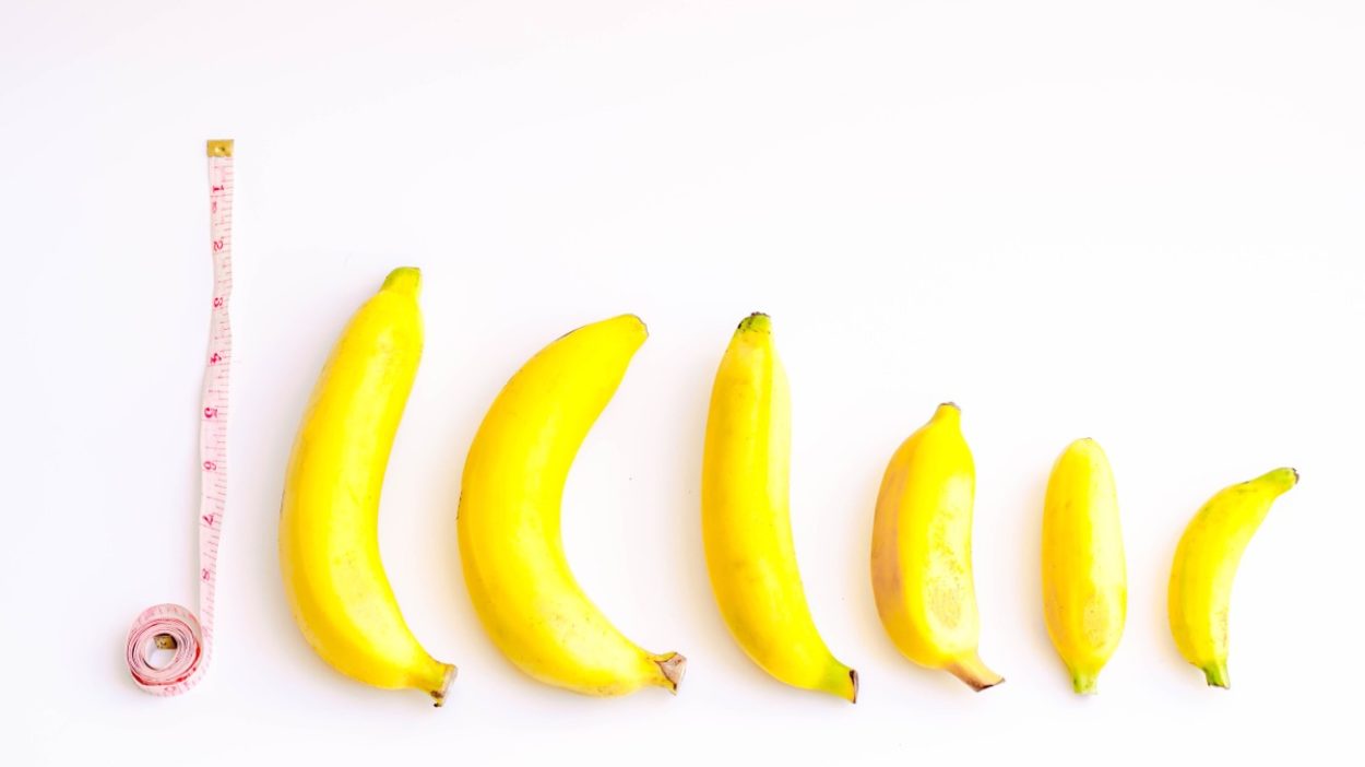 23 Hard Truths About Penis Size — Best Life