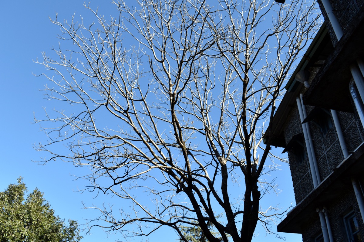 9 Essential Tips to Winter-Proof Your Home — Best Life