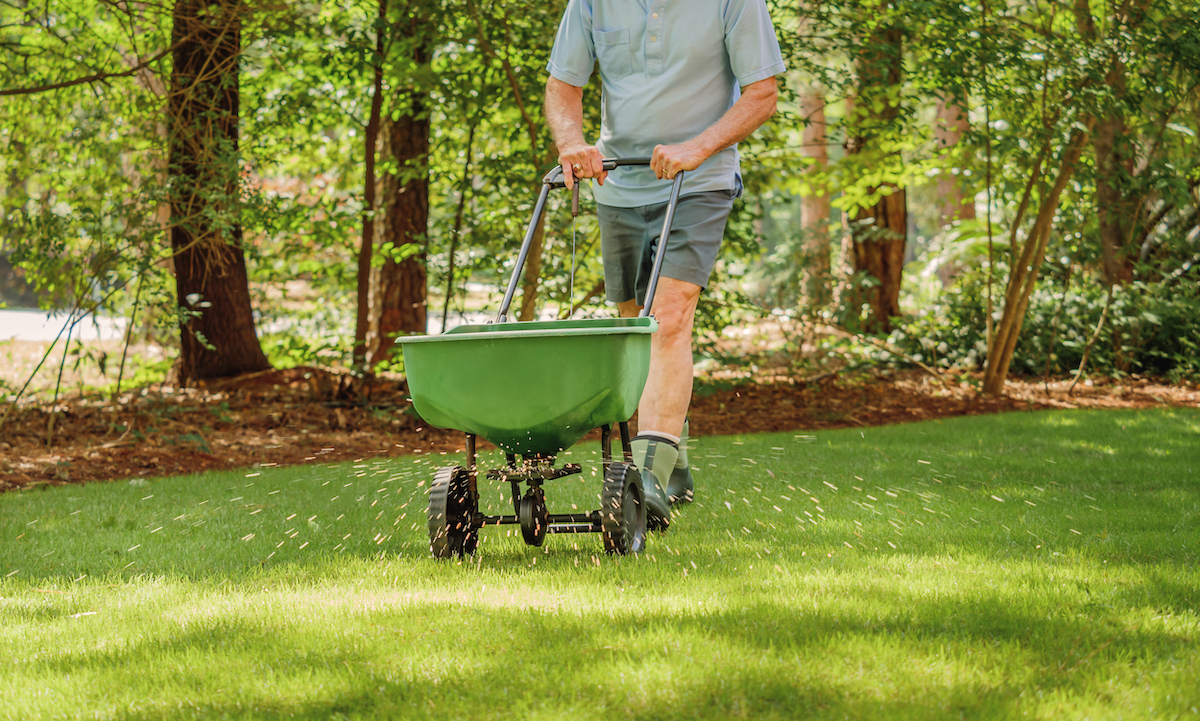 The 10 Types of Grass Explained by Landscaping Experts — Best Life