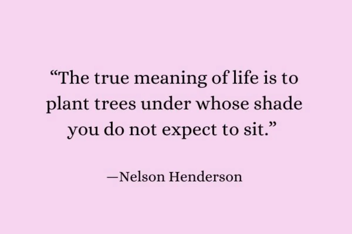 107 Positive Quotes That Will Turn Your Whole Day Around