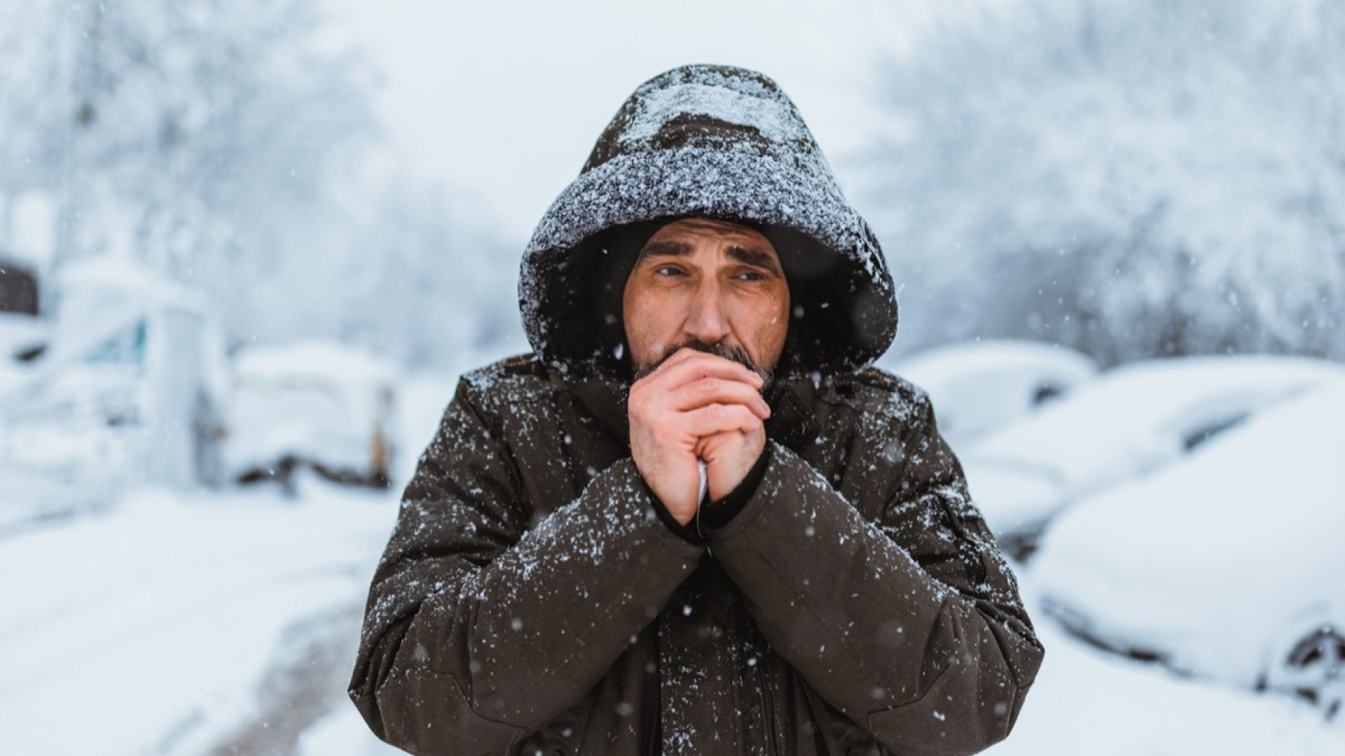 10 Signs We Could Have a Harsh Winter, Farmer's Almanac Says