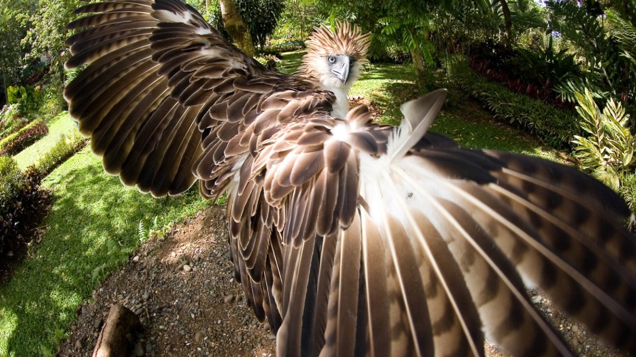 32 Rare Animals So Unusual, You Might Not Know They Even Exist