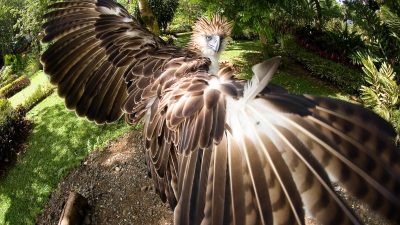 32 Rare Animals So Unusual, You Might Not Know They Even Exist