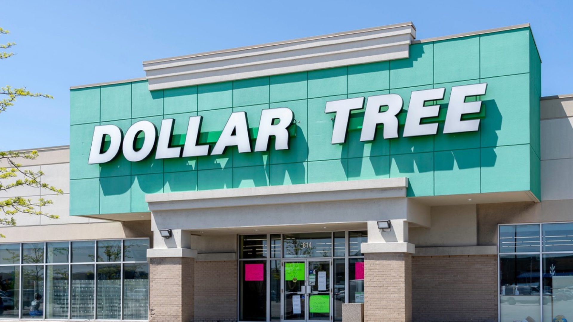 5 Best New Dollar Tree Beauty Products to Buy and 4 to Avoid — Best Life