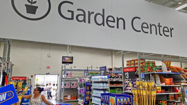 6 Best Things to Buy From Walmart's Garden Center — Best Life
