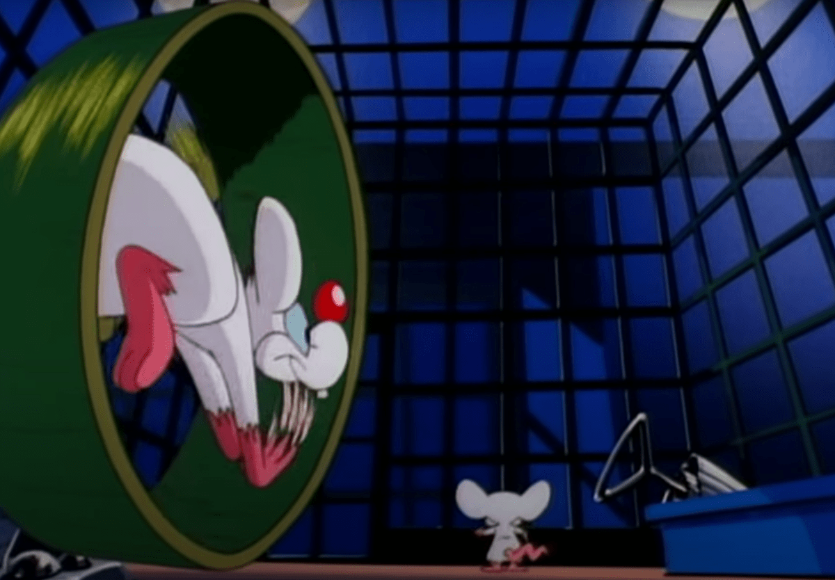 The 22 Best ’90s Cartoons Every Millennial's Inner Child Still Loves ...