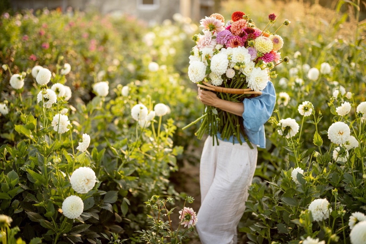 120 Spring Instagram Captions to Spruce Things Up — Best Life