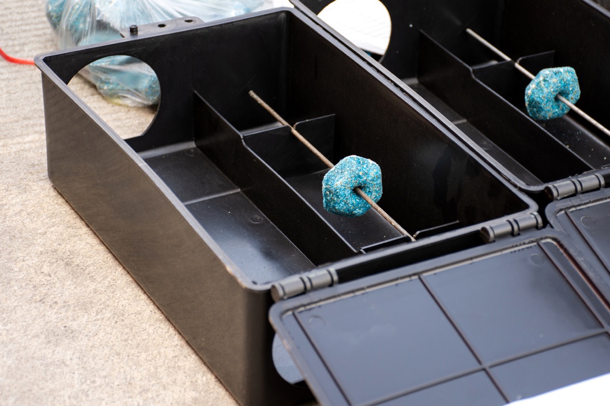 13 Worst Items to Store in Your Pantry — Best Life