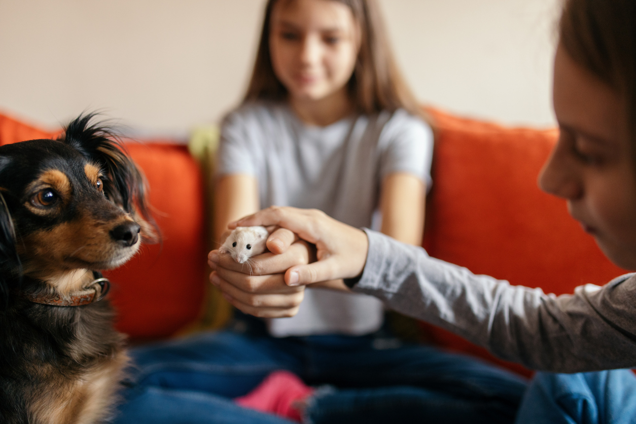 If You Live in Georgia, You'll See the Joro Spider in “Extreme Numbers”