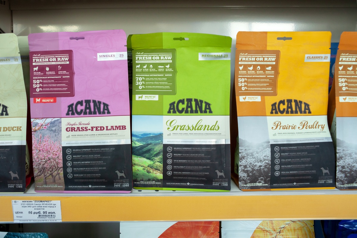 The Best Dog Food for Puppies, According to Veterinarians — Best Life