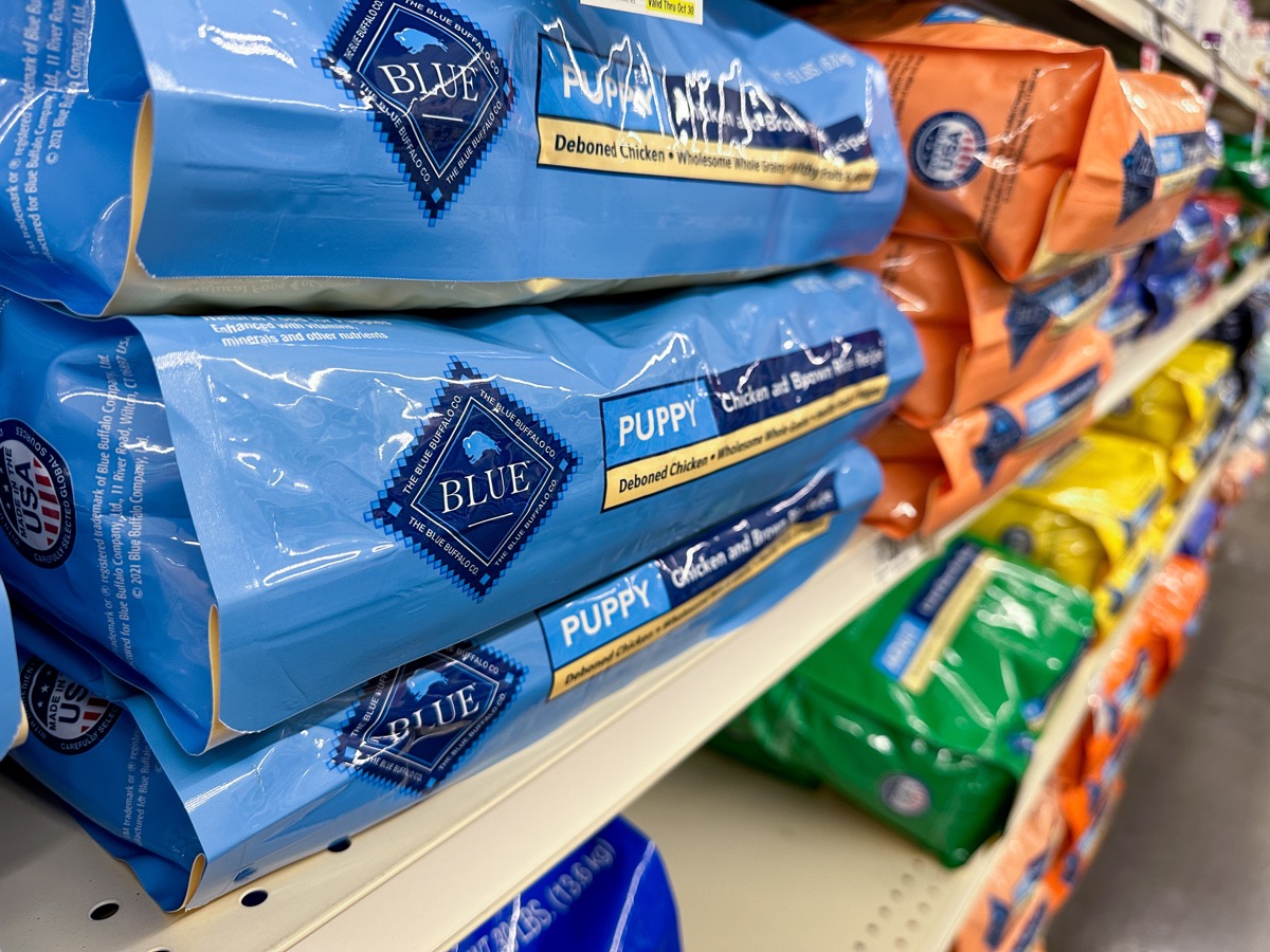 The Best Dog Food for Puppies, According to Veterinarians — Best Life