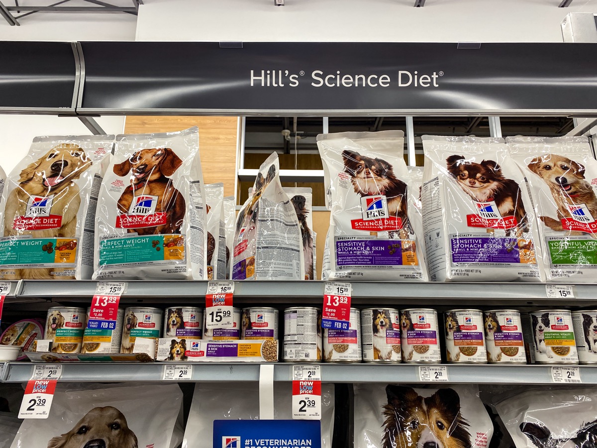 The Best Dog Food for Puppies, According to Veterinarians — Best Life