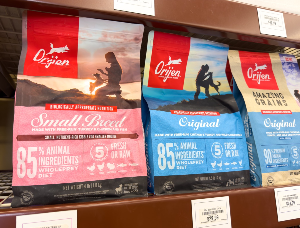 The Best Dog Food for Puppies, According to Veterinarians — Best Life