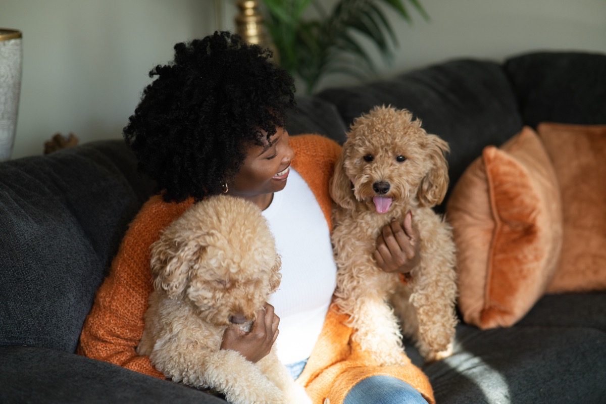 A Full List of Poodle Mixes: Every Adorable Variation — Best Life