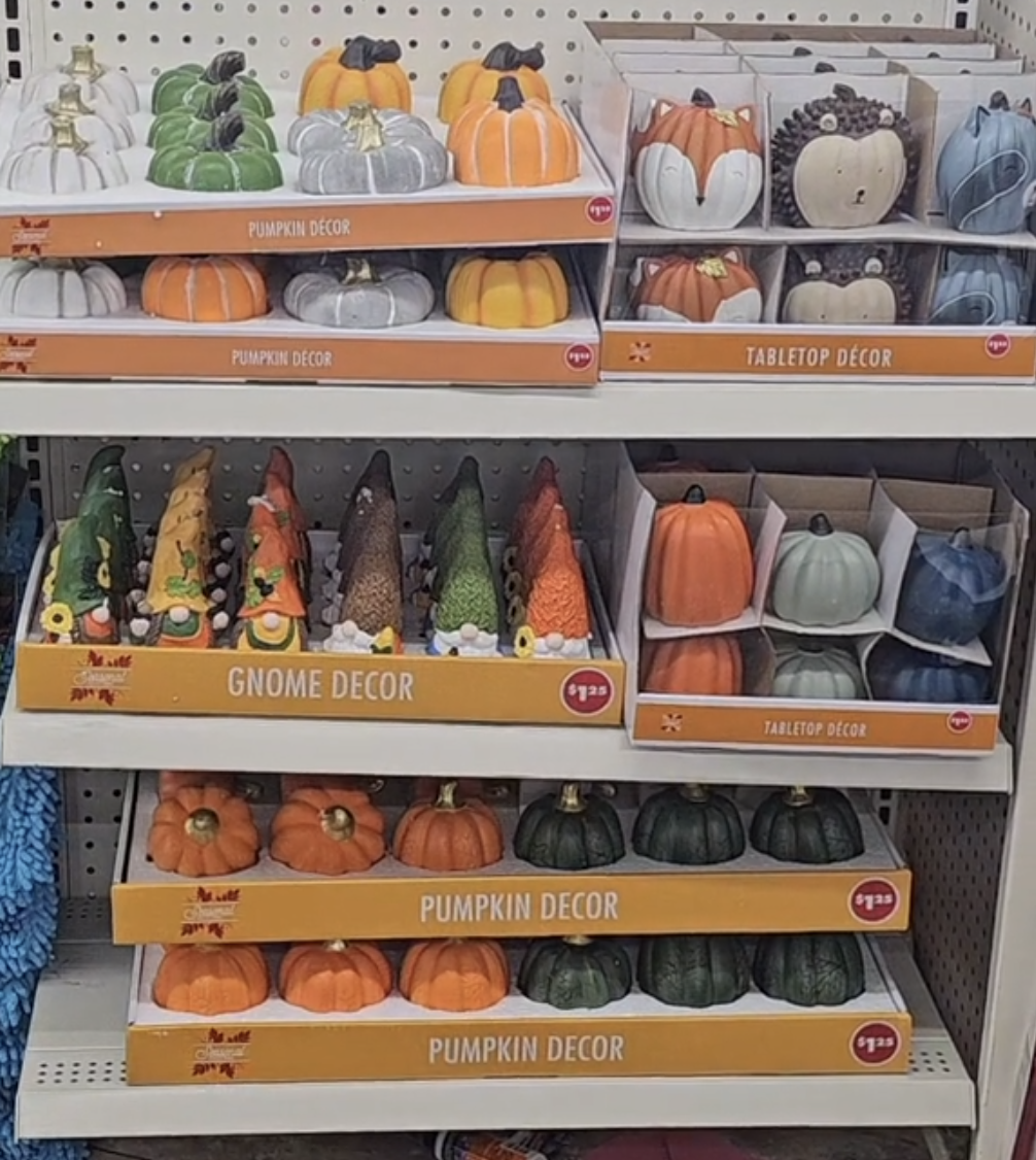 Dollar Tree Just Dropped Its Fall Decor and Shoppers Are Loving It ...