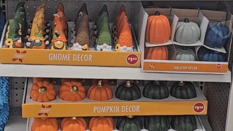 Dollar Tree Just Dropped Its Fall Decor and Shoppers Are Loving It ...