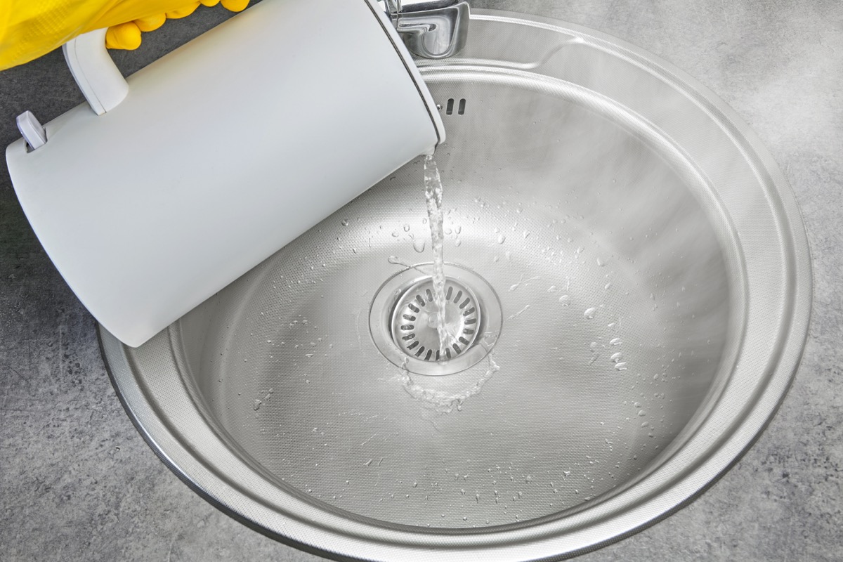 How to Get Rid of Drain Flies in Your Home — Best Life