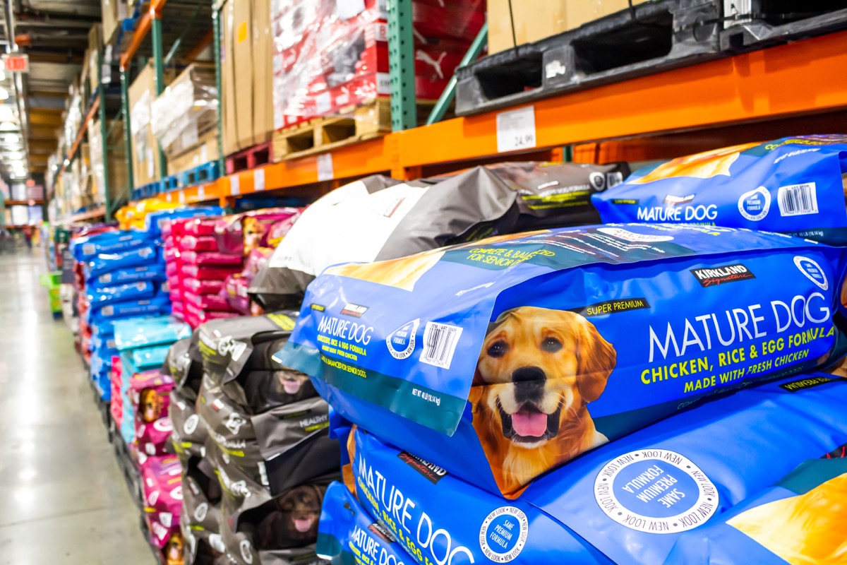 9 Ways to Save Money on Pet Care, According to Financial Experts — Best ...