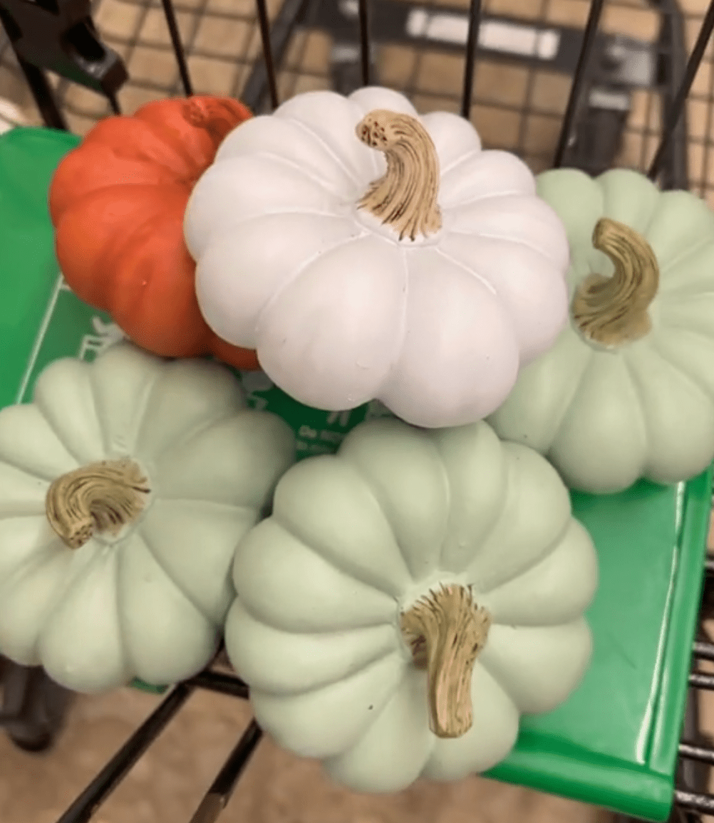 Dollar Tree Just Dropped Its Fall Decor and Shoppers Are Loving It ...