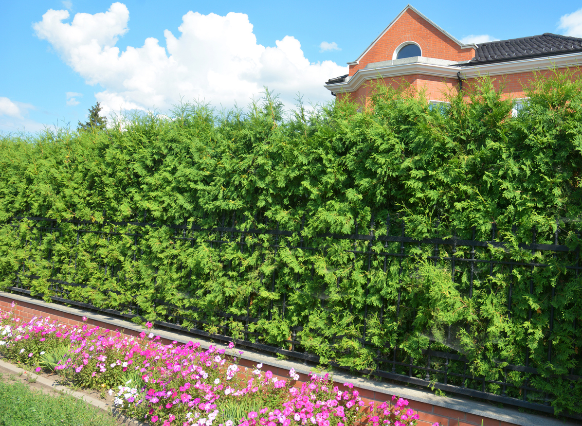 6 Garden Fence Ideas That Protect Your Space and Look Great — Best Life