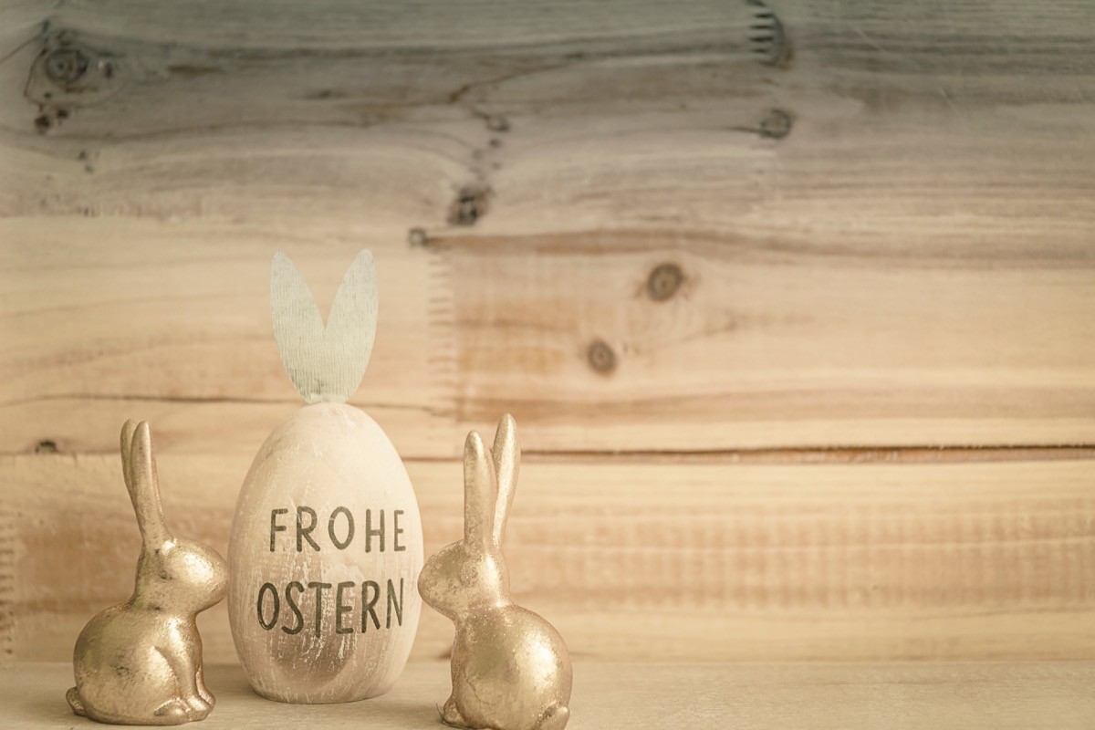 15 Incredible Easter Bunny Facts You Never Knew