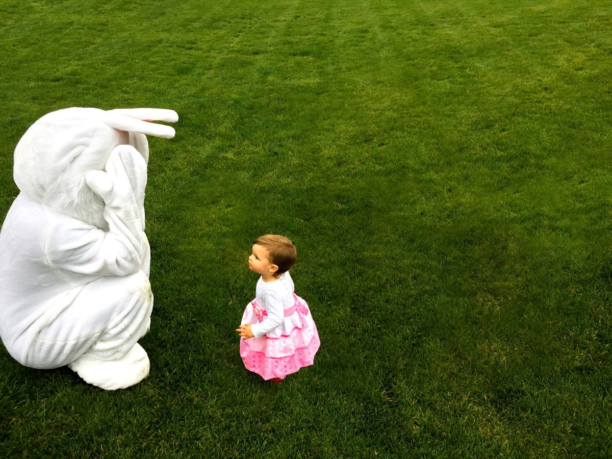 15 Incredible Easter Bunny Facts You Never Knew
