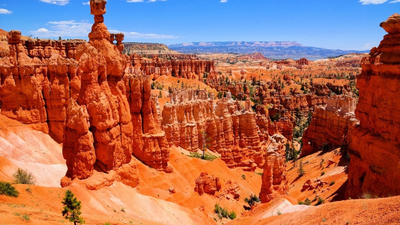 63 Best Facts About America's National Parks