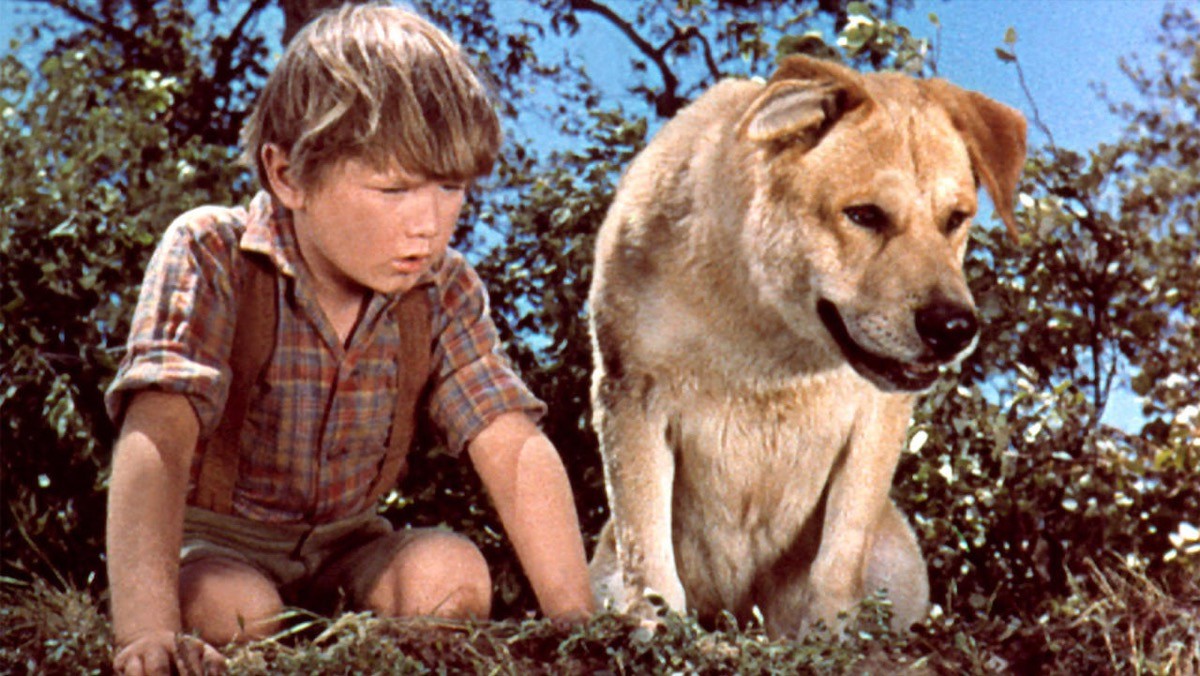 The Saddest Movie Deaths of All Time