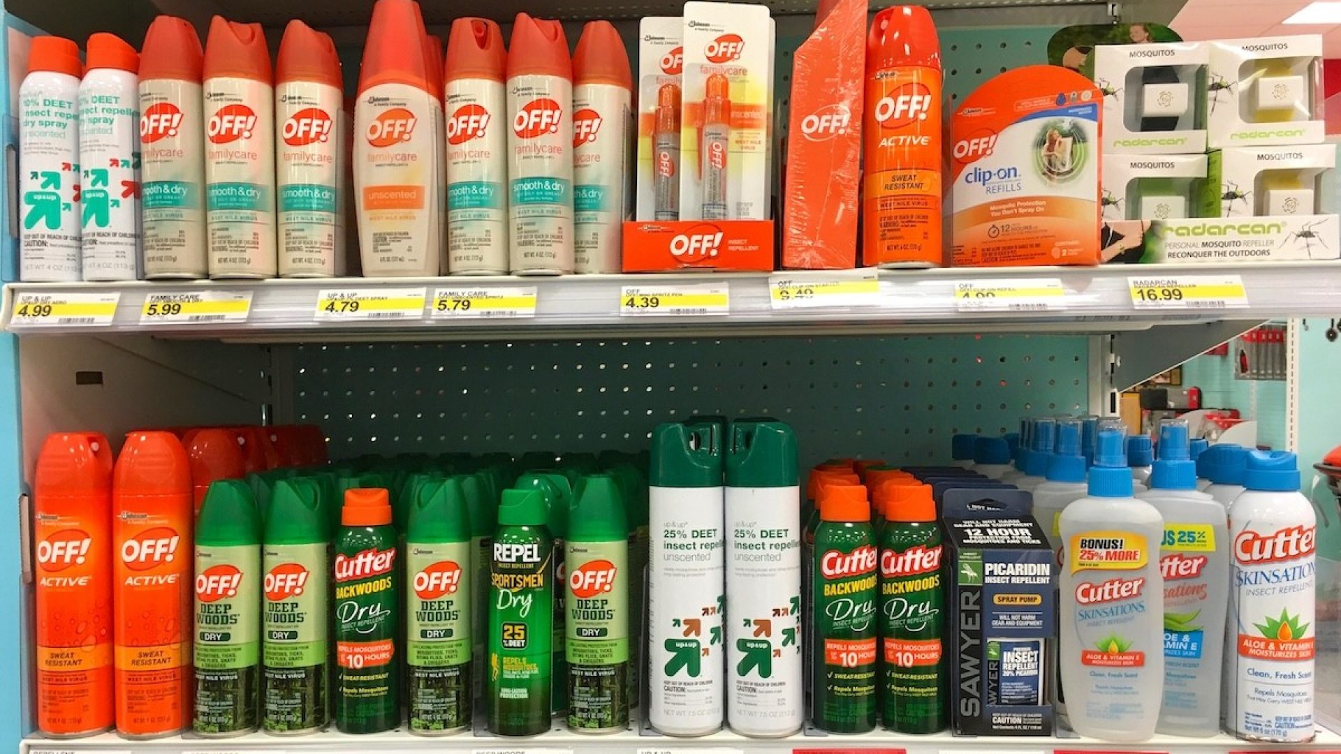 Is DEET Bad for You? Here's What Doctors Say.