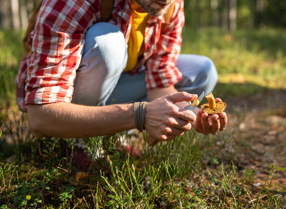 17 Unique Hobbies to Make You the Most Interesting Person in the Room
