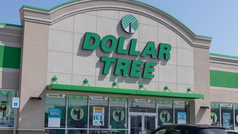 7 Best New Dollar Tree Storage Finds Hitting Shelves This Week