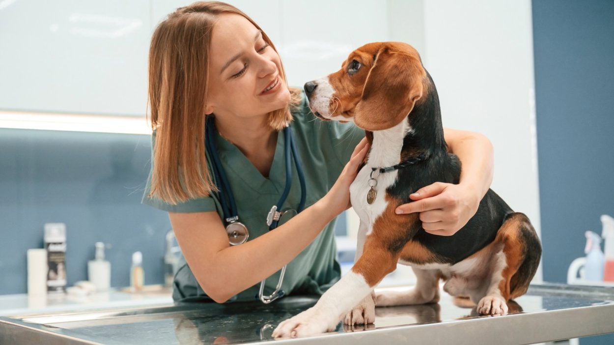 Are Purebred Dogs More Prone to Health Problems?