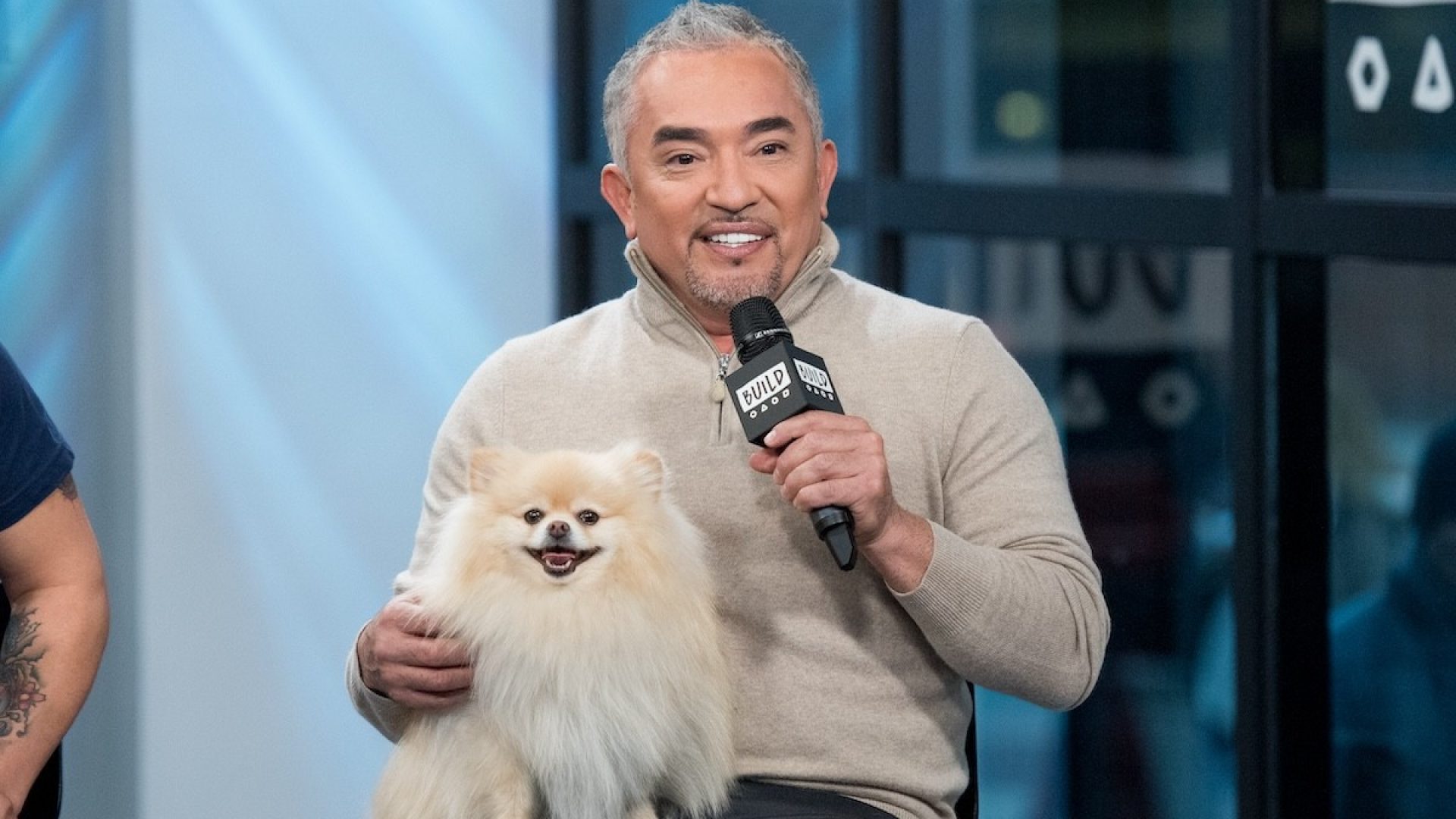 How to Stop Your Dog From Barking, According to Cesar Millan