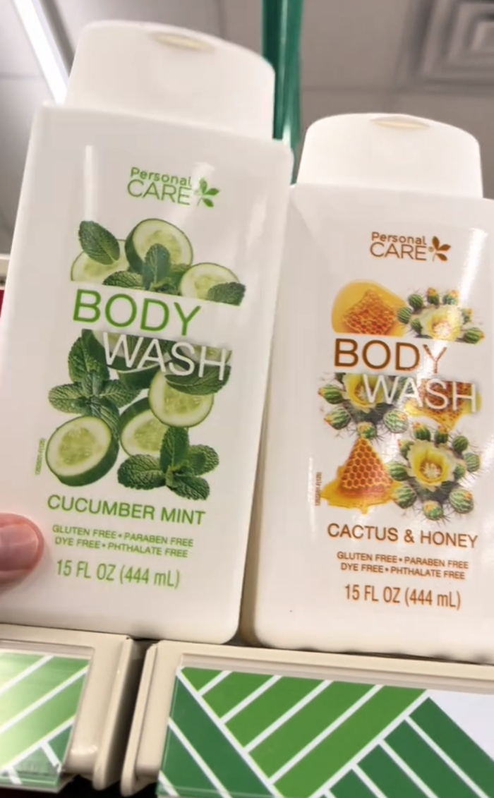 Dollar Tree Has New Native Body Wash Dupes
