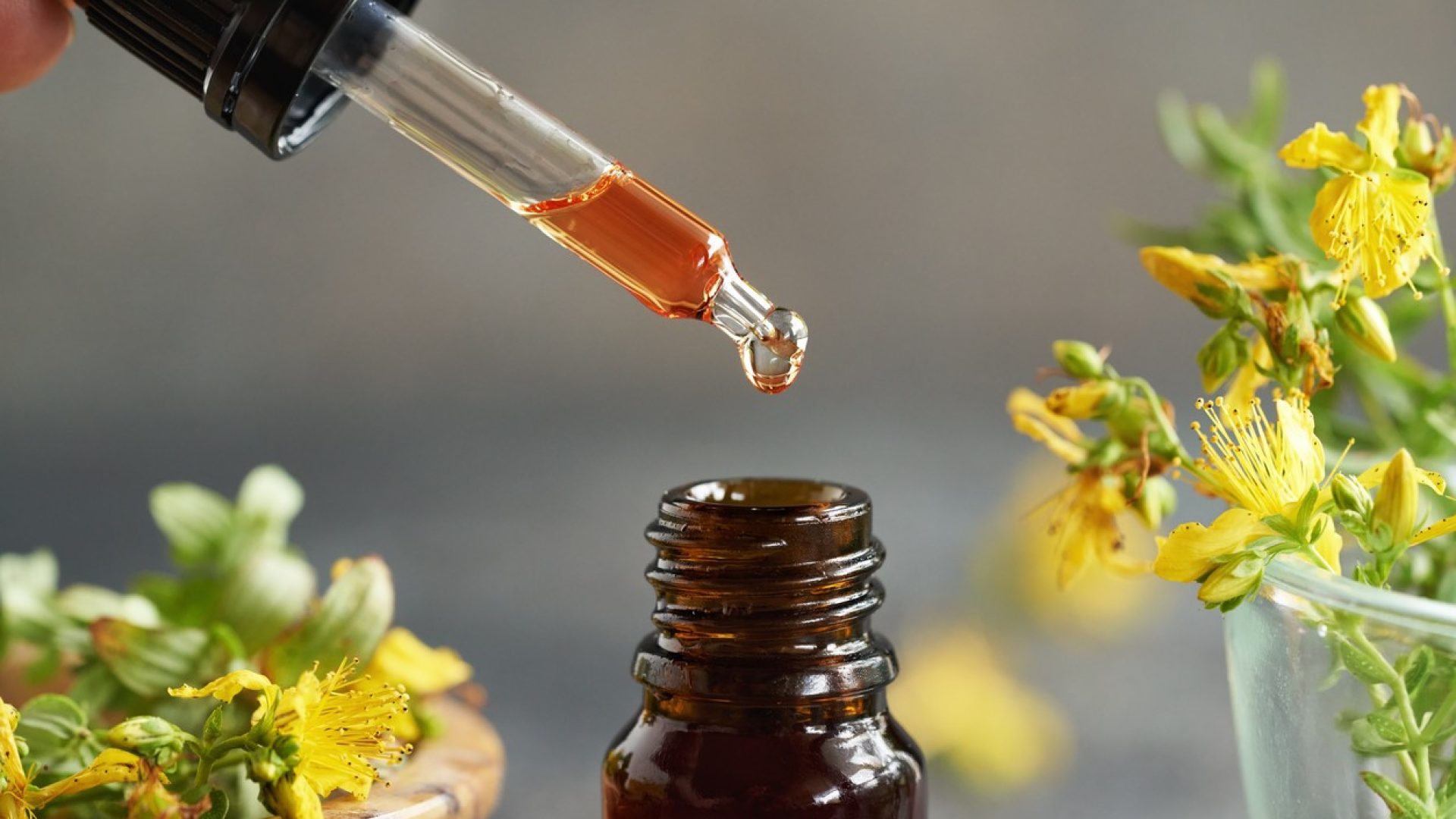 7 St. John's Wort Benefits for Your Health