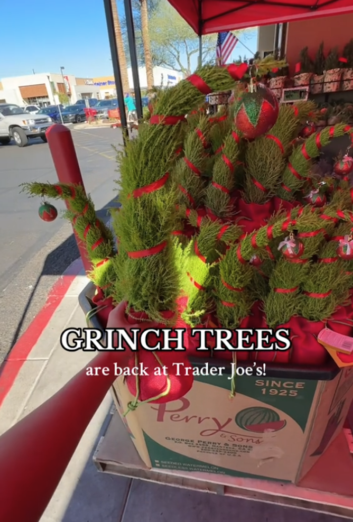 6 Cute and Cheap Christmas Trees for Small Spaces