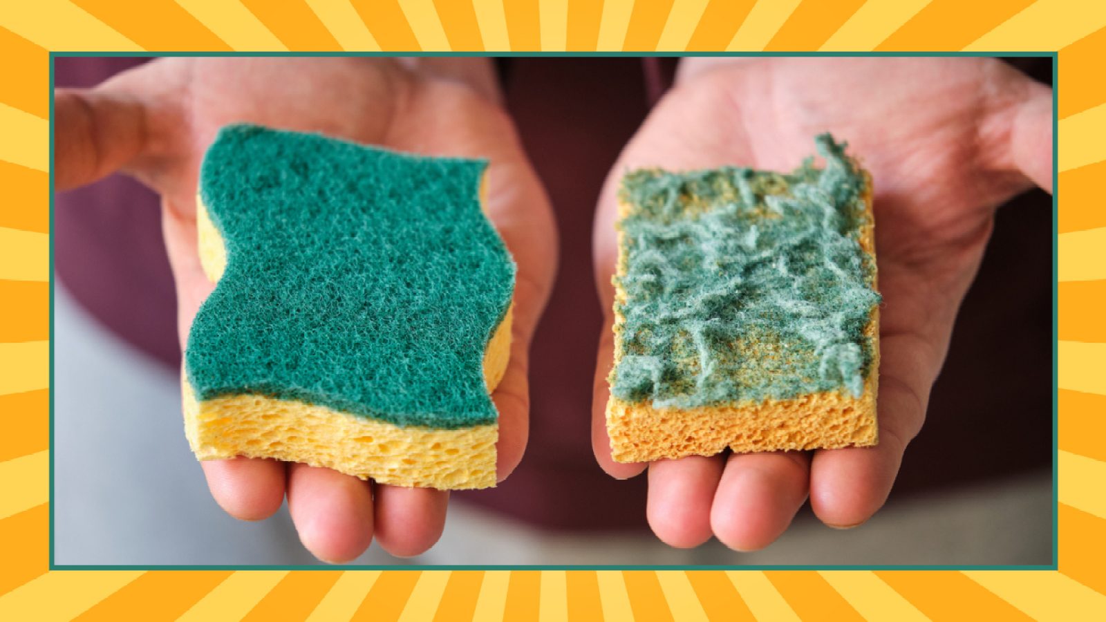 16 Gross Household Items You Should Replace More Often