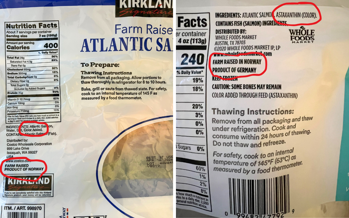 Experts Share the Truth About Farm-Raised vs. Wild Salmon