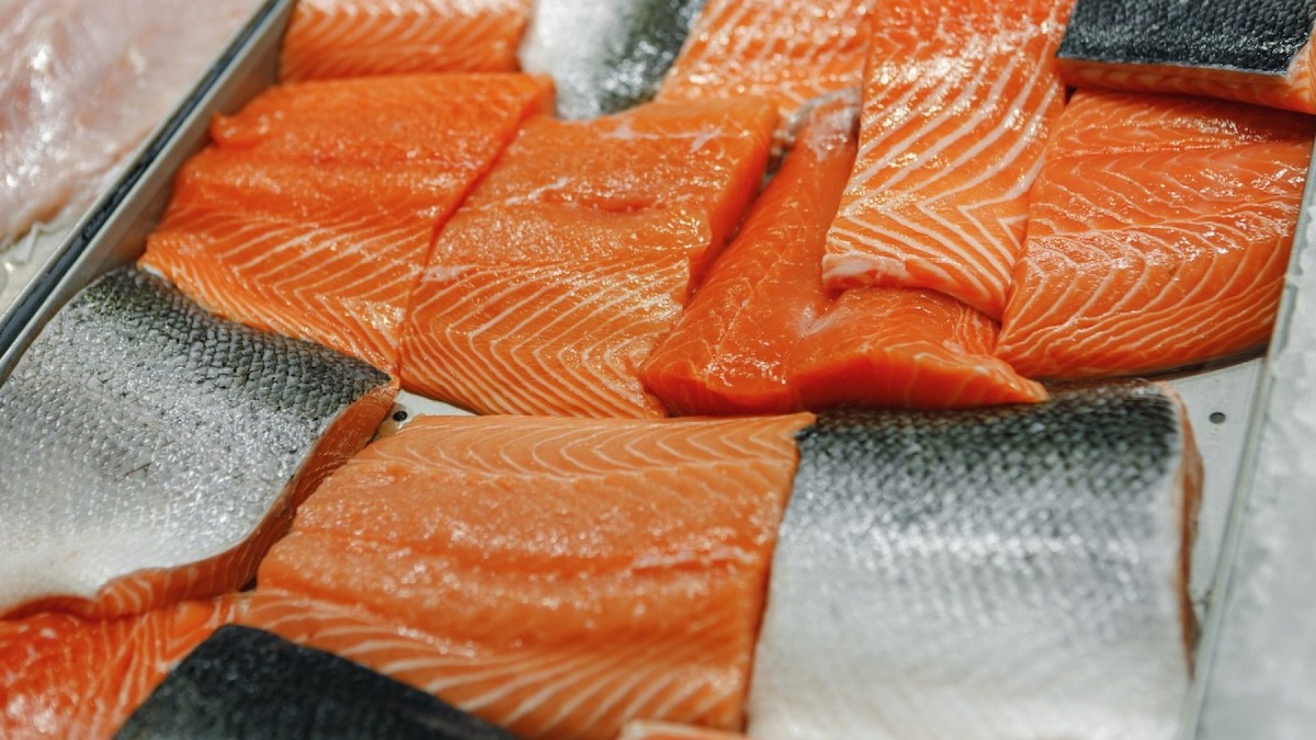 Experts Share the Truth About Farm-Raised vs. Wild Salmon