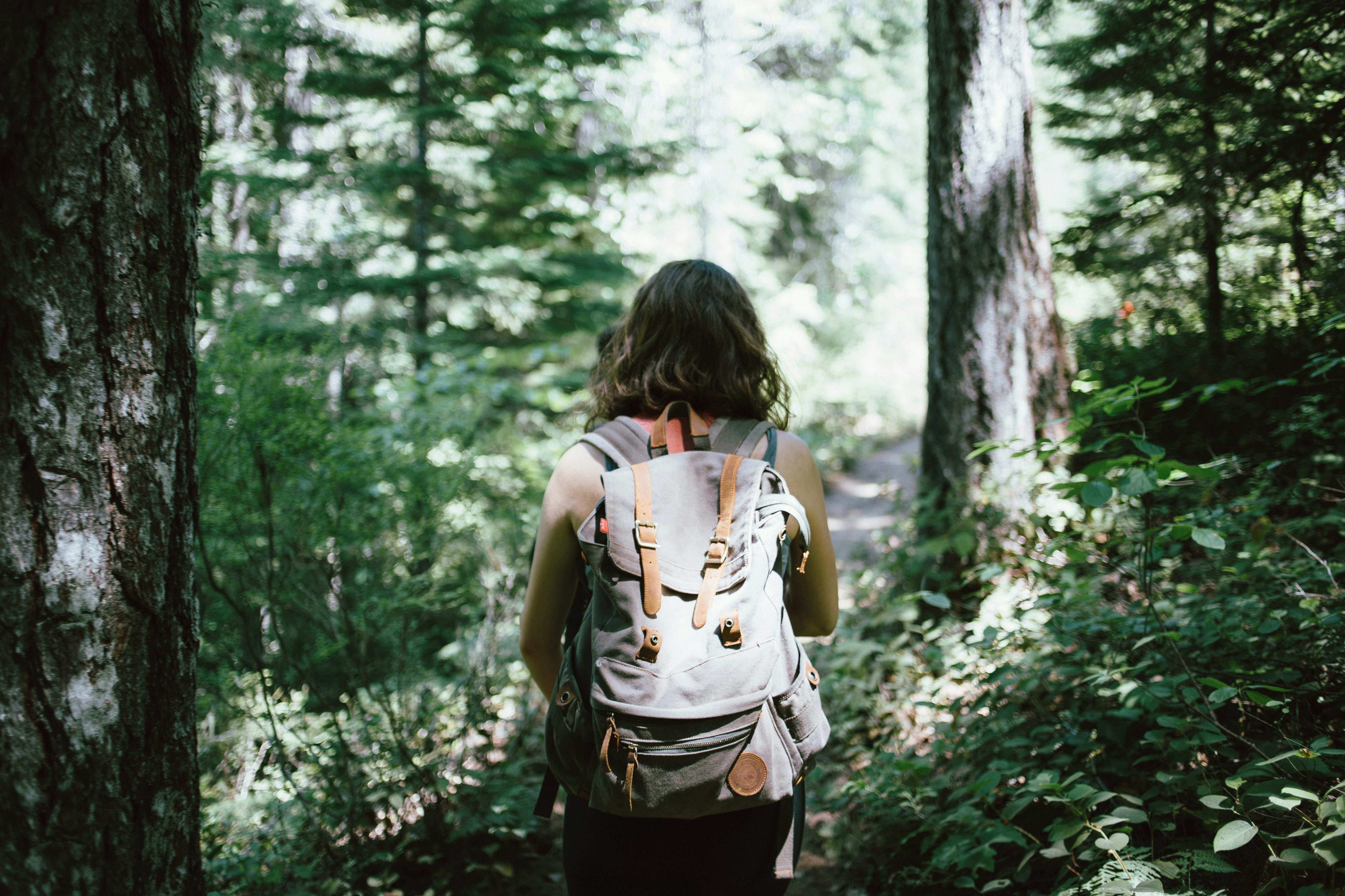 Benefits of Nature Walks: Why Walking in Nature is So Great