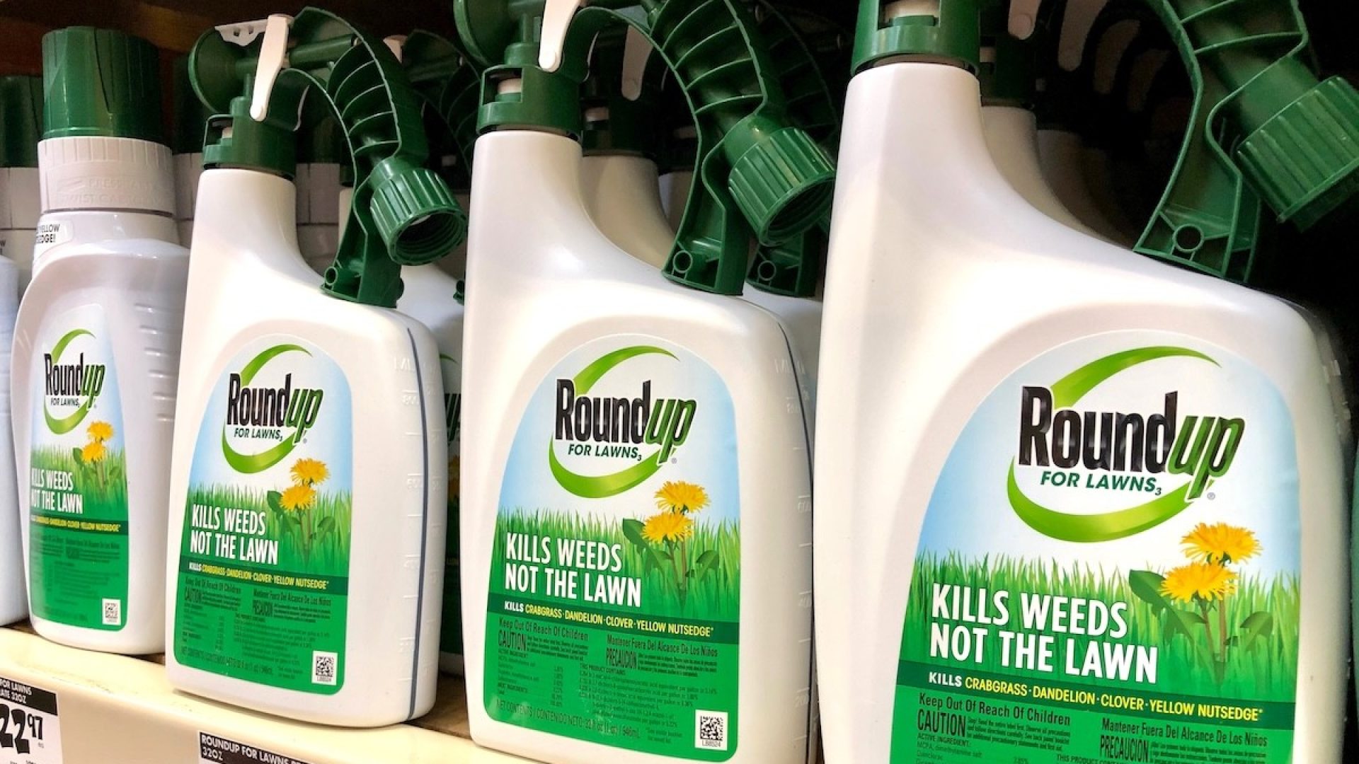 "Safer" Roundup Weed Killer Can Still Damage Your Organs