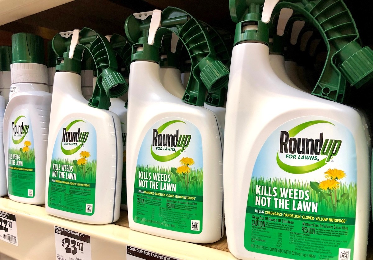 Where Is Ivy Calvin From "Storage Wars" Now?