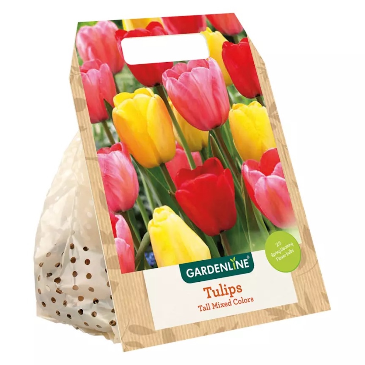 7 Best New Aldi Seasonal Finds Hitting Shelves This Week