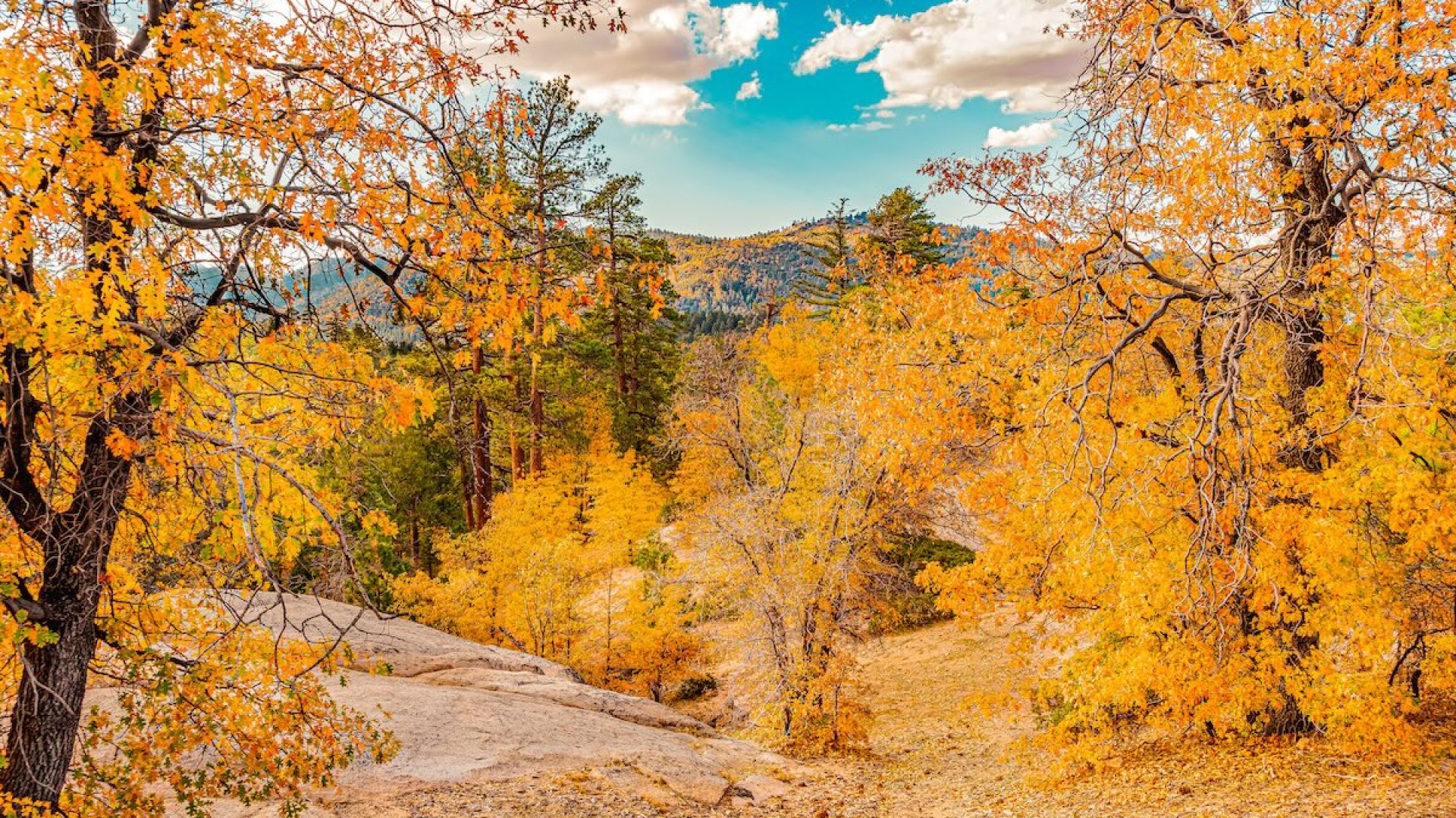 7 Best Spots in the U.S. to See Fall Foliage This Year — Best Life