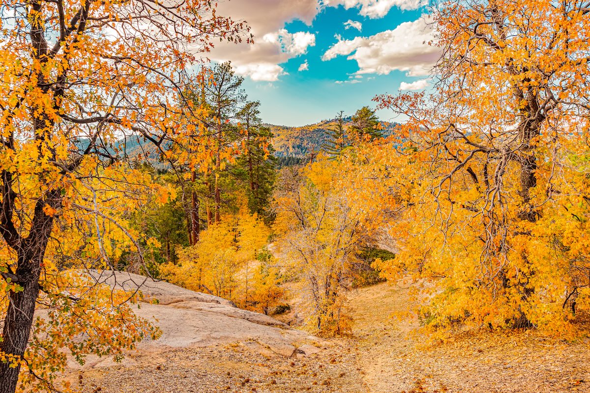 10 States With the Best Fall Foliage Views, New Ranking Reveals — Best Life