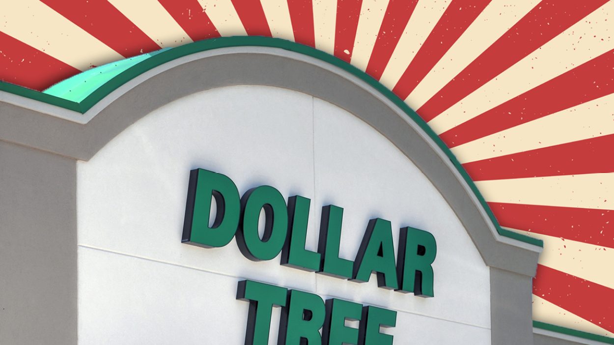 7 Best Dollar Tree New Arrivals Hitting Shelves This Week