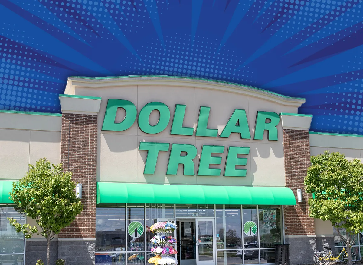 7 Best Dollar Tree New Arrivals This October
