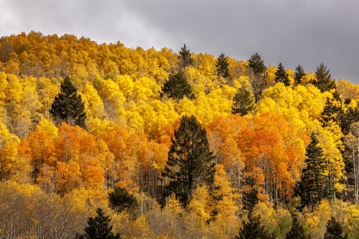 7 Best Spots in the U.S. to See Fall Foliage This Year — Best Life