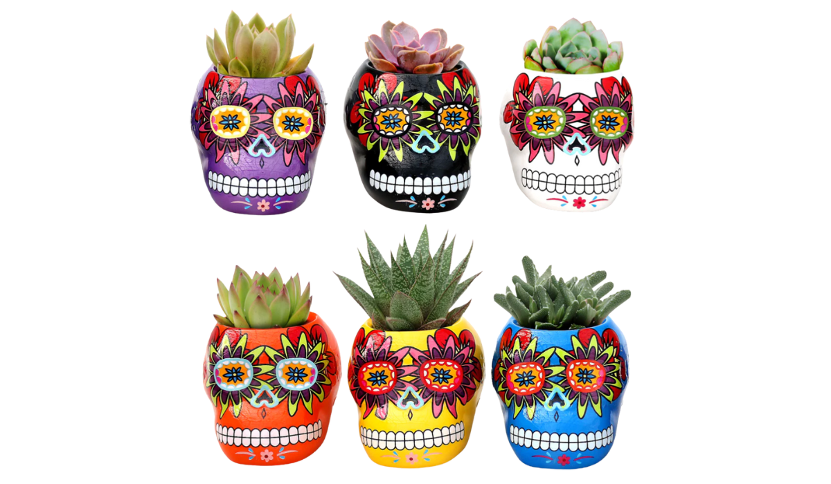 7 Best New Trader Joe's Seasonal Finds Hitting Shelves This Week — Best ...